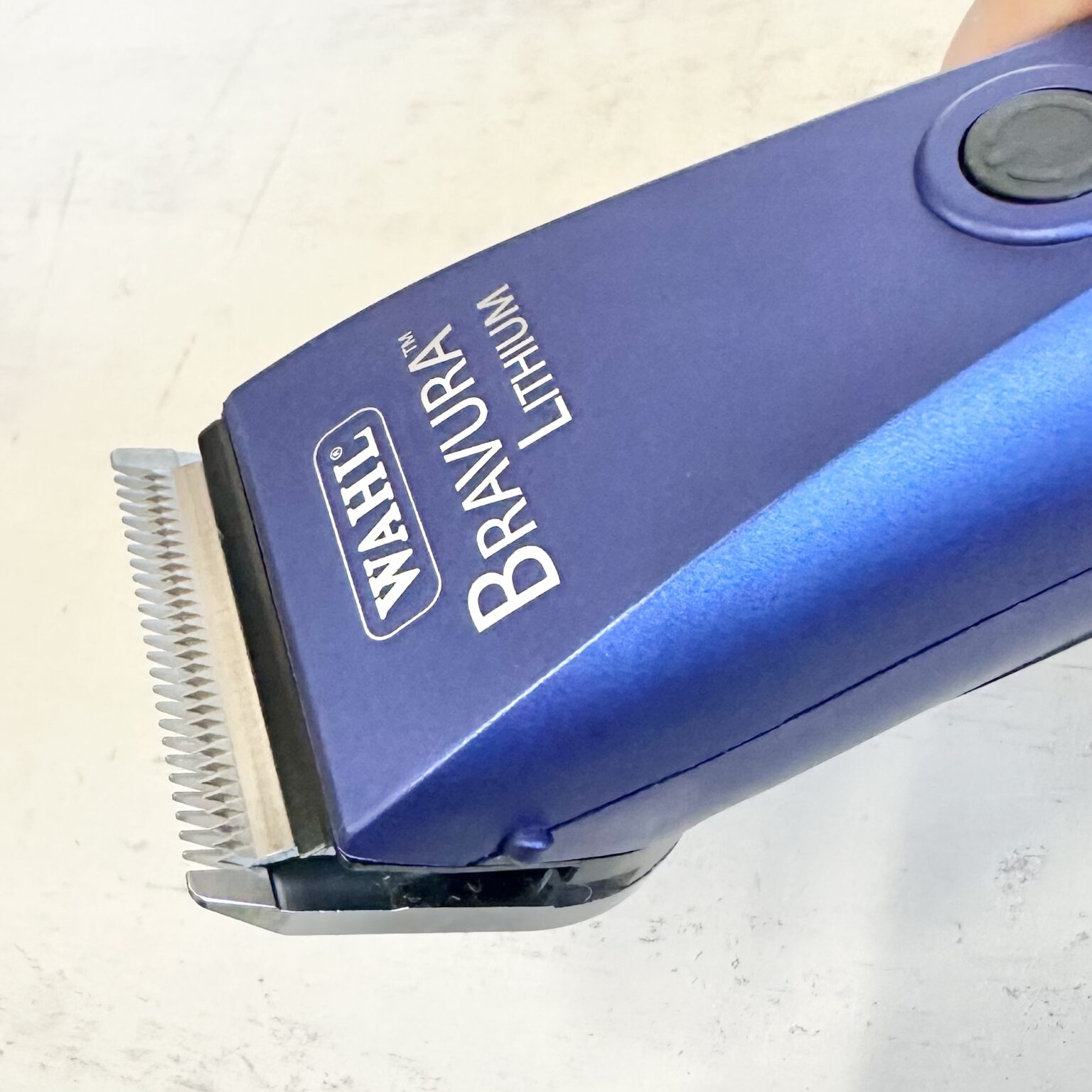 先着限定3 SET【WAHL正規品】ブラビューラ_U + ダイヤモンドブレードSET – 333 Dog-Care トリミングの道具店