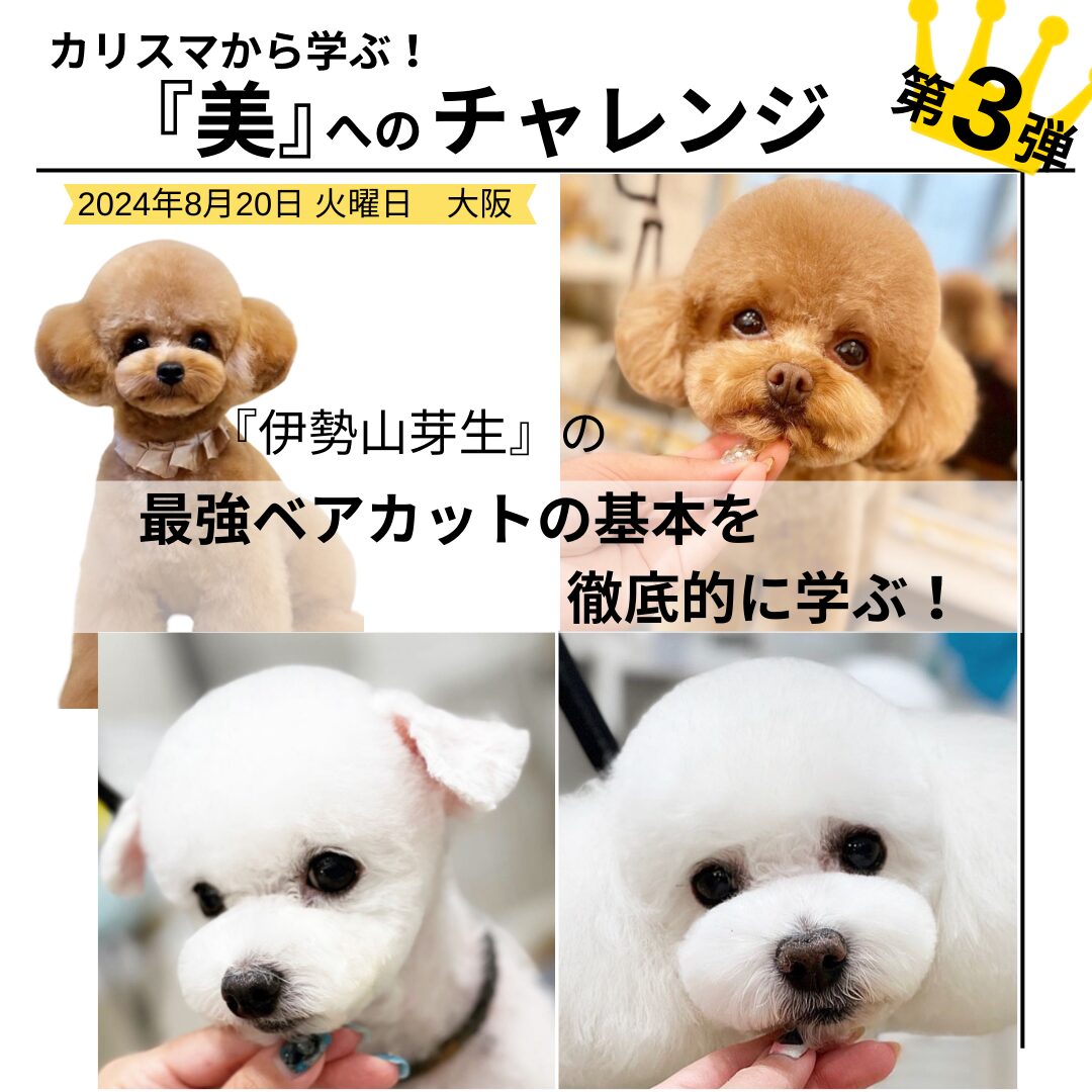 2日目 最強ベアカットの基本を徹底的に学ぶ【8月20日『伊勢山芽生』さんの特別セミナー in 大阪 開催決定！】 | 333 Dog-Care ...